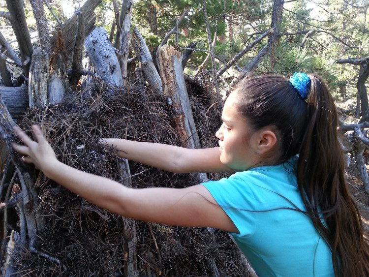 STRIVE Prep Federal Backpacking Adventure - Cottonwood Institute