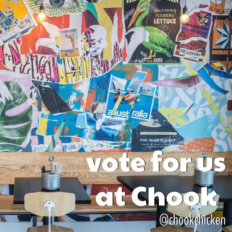 Support CI: Chook Chicken Beneficiary April 2019! - Cottonwood Institute