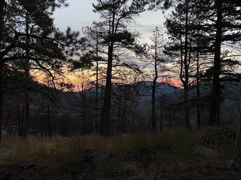 AXL Academy's Fall Overnight: A Jam-Packed Adventure! - Cottonwood ...